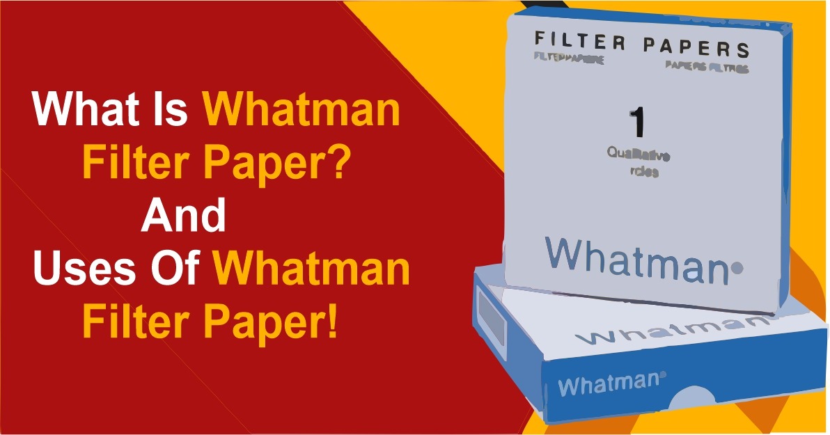 whatman-whatman-beplayer